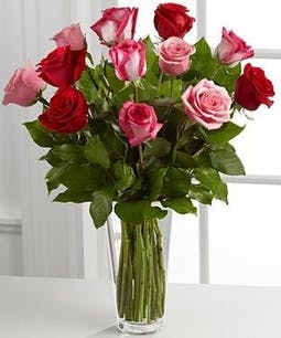 Roses Highlands Ranch, Roses Highlands Ranch CO, Roses Highland Ranch ...